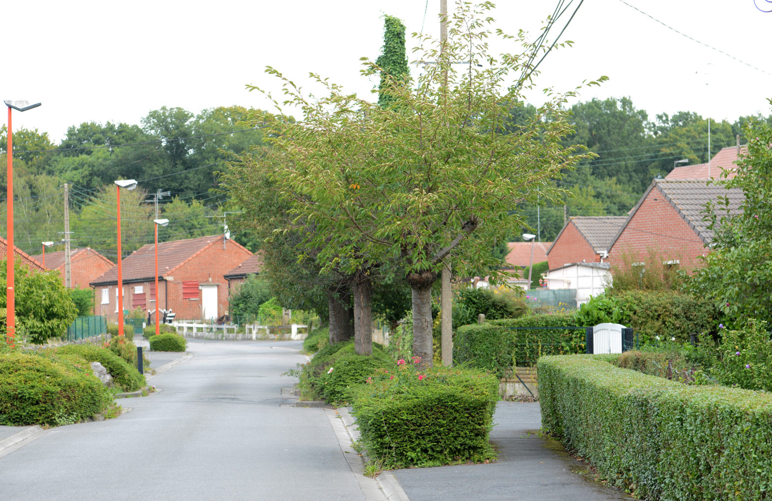 Quartier Sabatier à Raismes : point sur l’avancement - Bassin Minier ...